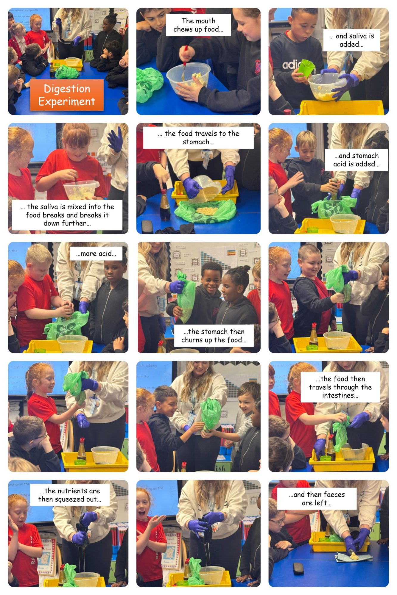 Base 10 Digestion Experiment – Randlay Primary School and Nursery